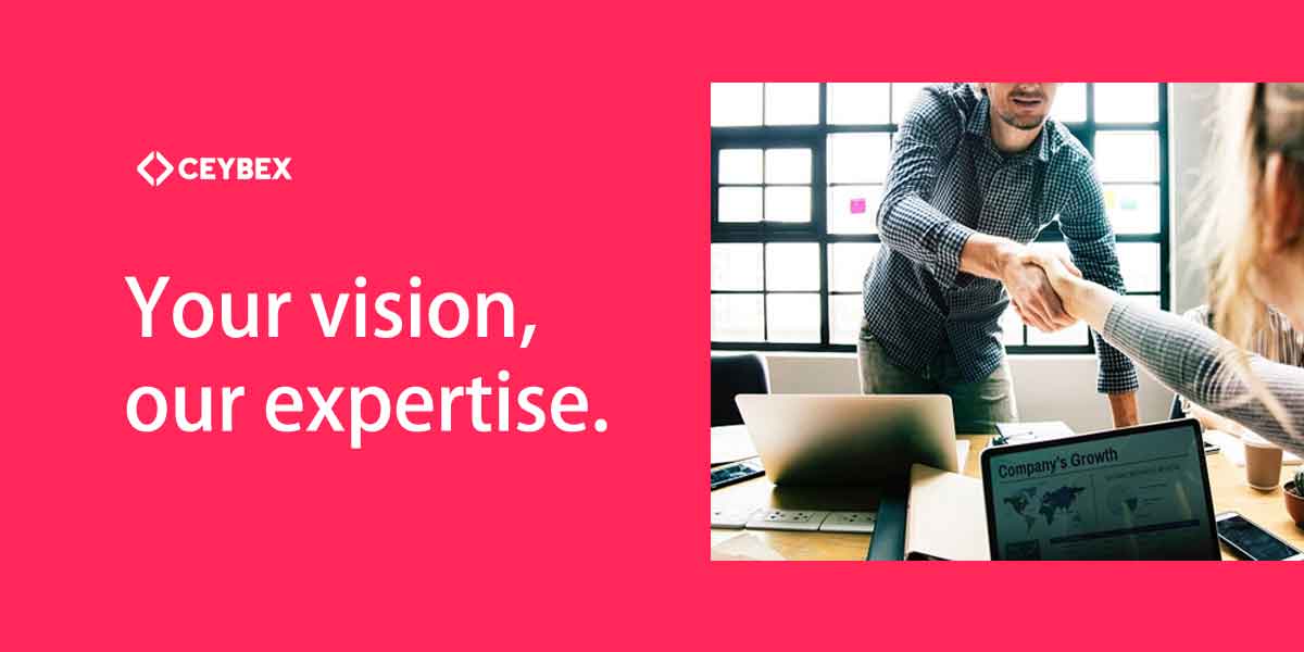 Custom Software Development Design Ceybex